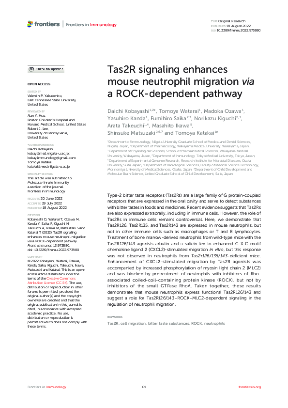 (PDF) Tas2R signaling enhances mouse neutrophil migration via a ROCK ...