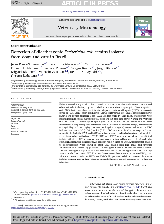 (PDF) Detection of diarrheagenic Escherichia coli strains isolated from ...