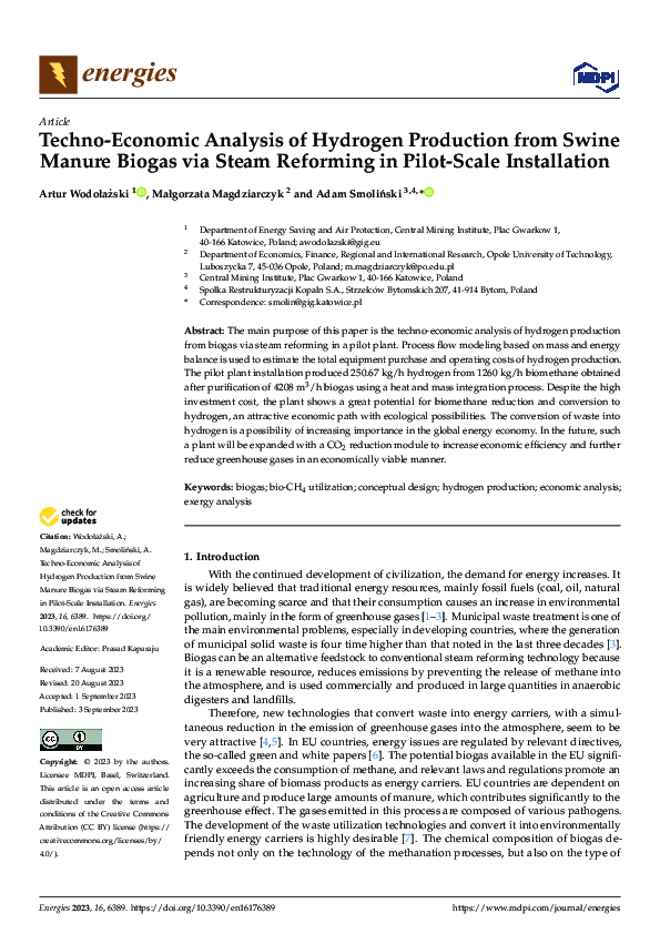 (PDF) Techno-Economic Analysis of Hydrogen Production from Swine Manure Biogas via Steam ...