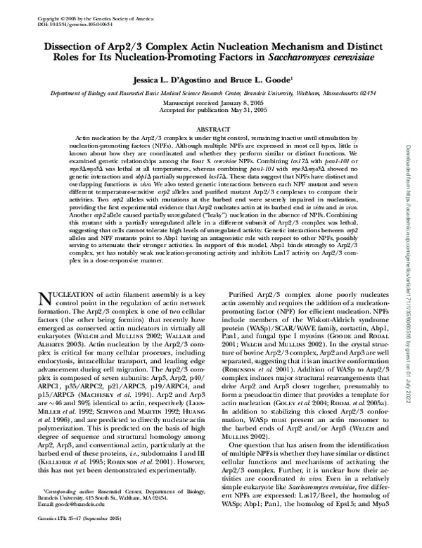 (PDF) Dissection of Arp2/3 Complex Actin Nucleation Mechanism and ...
