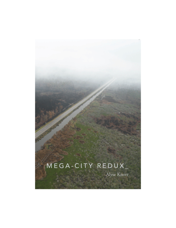 (PDF) Mega-City Redux