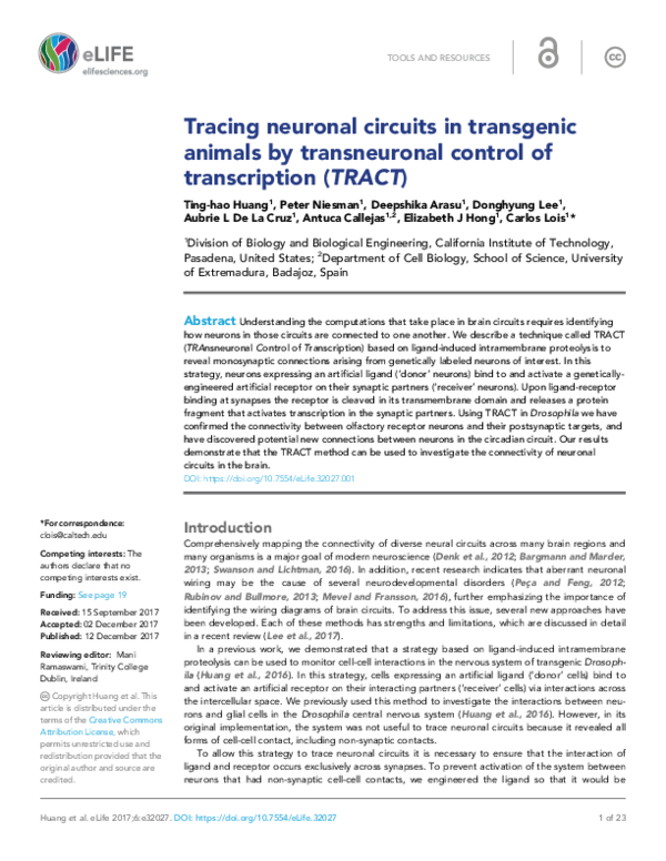 (PDF) Tracing neuronal circuits in transgenic animals by transneuronal ...