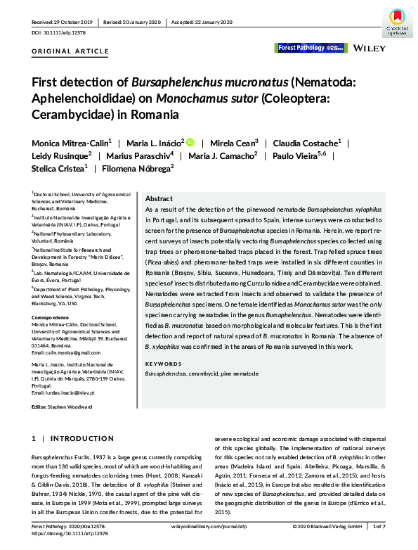 (PDF) First detection of Bursaphelenchus mucronatus (Nematoda ...