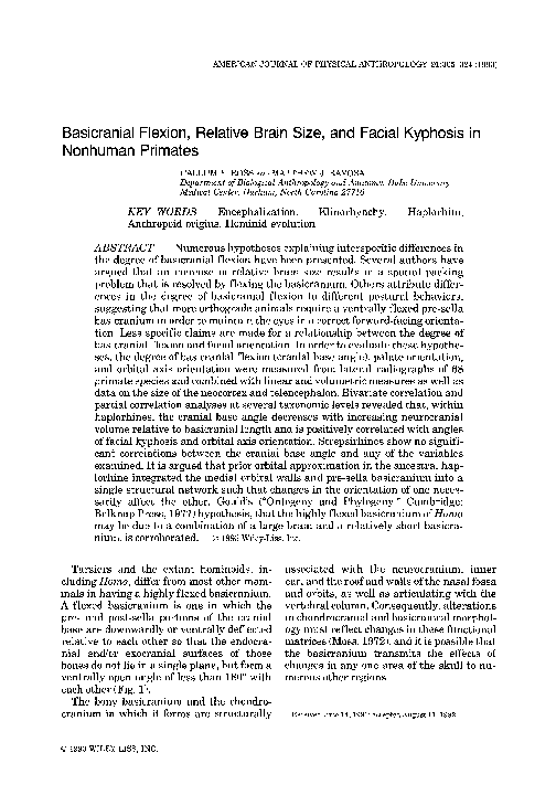 (PDF) Basicranial flexion, relative brain size, and facial kyphosis in ...