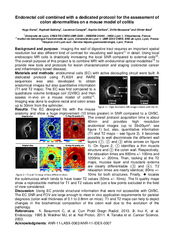 (PDF) Endorectal coil combined with a dedicated protocol for the ...