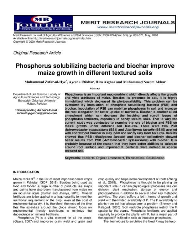 (PDF) Phosphorus solubilizing bacteria and biochar improve maize growth ...
