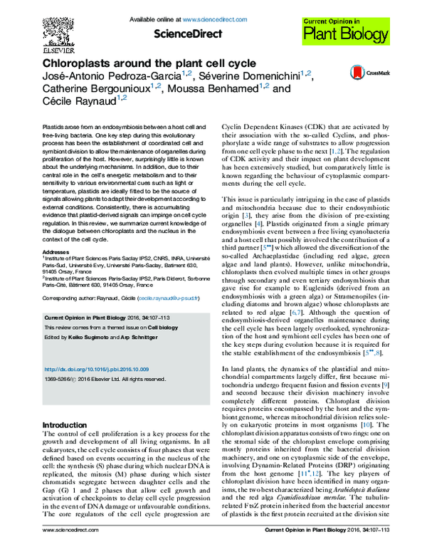 (PDF) Chloroplasts around the plant cell cycle