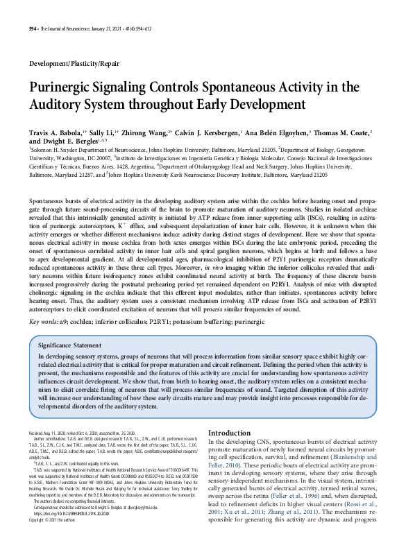 (PDF) Purinergic signaling controls spontaneous activity in the ...