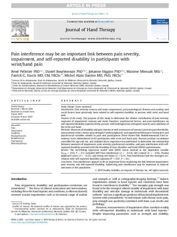 (PDF) Pain interference may be an important link between pain severity ...
