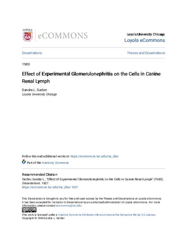 (PDF) Effect of experimental glomerulonephritis on the cells in canine ...