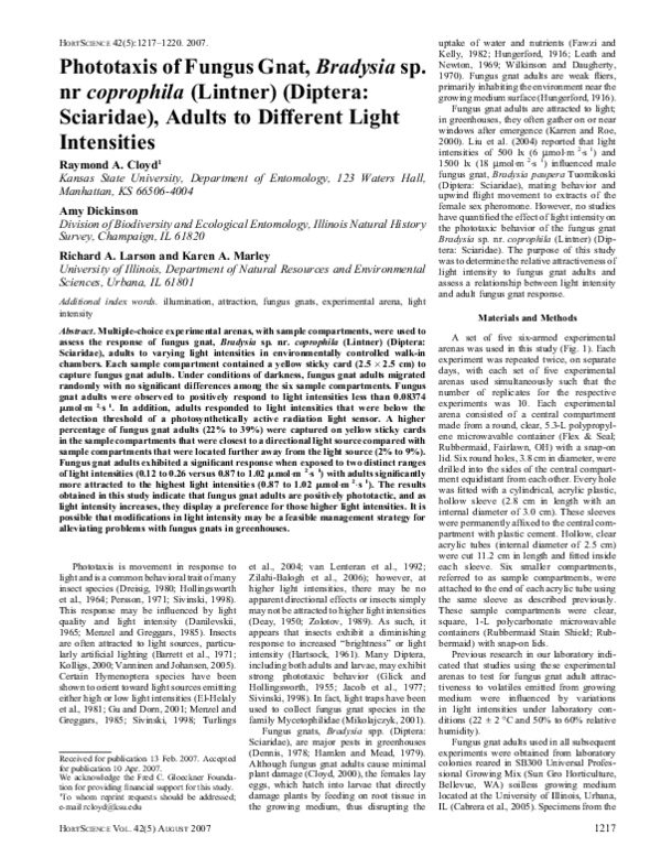 (PDF) Phototaxis of Fungus Gnat, Bradysia sp. nr coprophila (Lintner ...