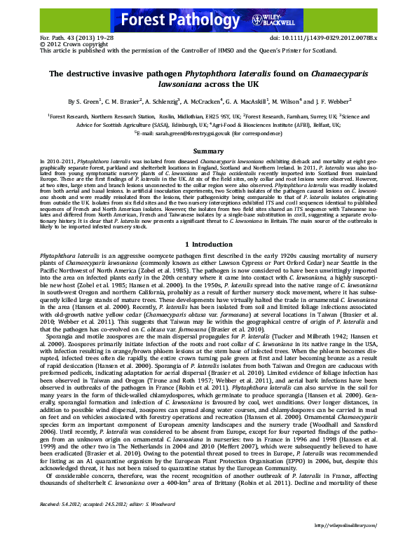 (PDF) The destructive invasive pathogen Phytophthora lateralis found on ...
