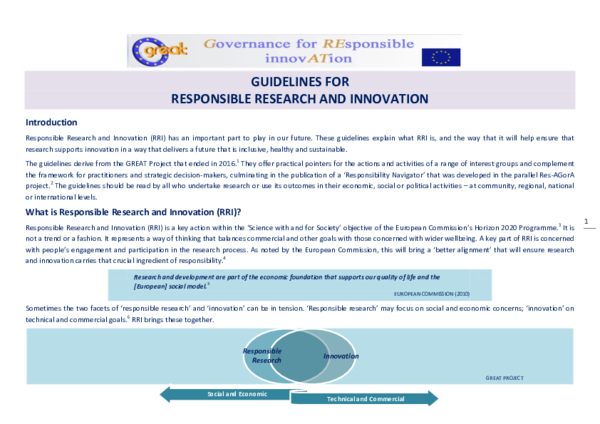 (PDF) Guidelines for Responsible Research and Innovation