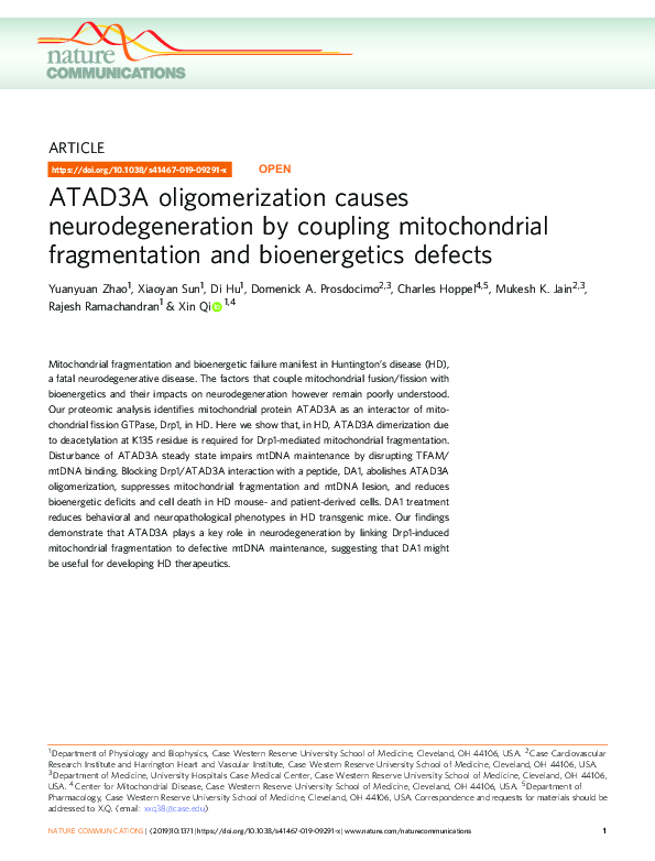 (PDF) ATAD3A oligomerization causes neurodegeneration by coupling ...