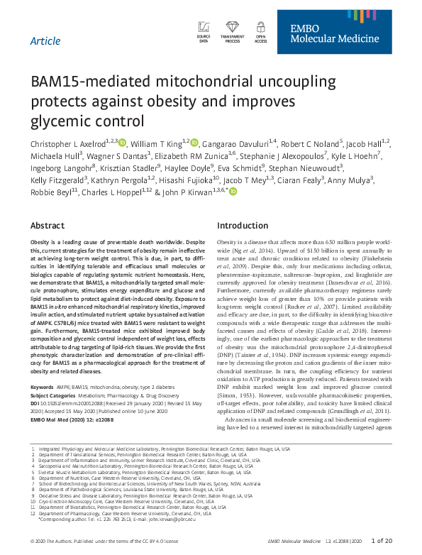 (PDF) BAM15‐mediated mitochondrial uncoupling protects against obesity ...