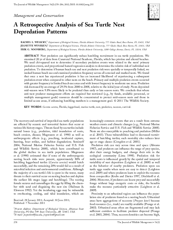 (PDF) A retrospective analysis of sea turtle nest depredation patterns