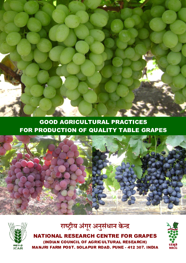 (PDF) Good Agricultural Practices for Production of Quality Table Grapes