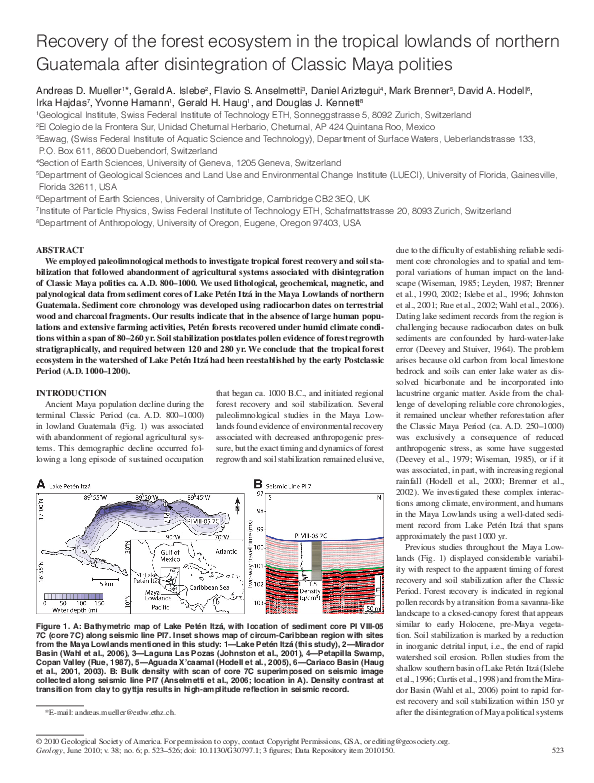 (PDF) Recovery of the forest ecosystem in the tropical lowlands of ...