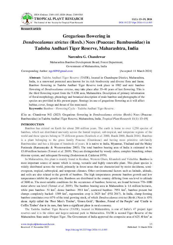 (PDF) Gregarious flowering in Dendrocalamus strictus (Roxb.) Nees ...