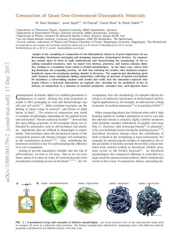 (PDF) Self-Avoiding Walk of Plastic Wires Crumpled into Frictional ...