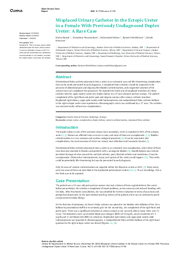 (PDF) Misplaced Urinary Catheter in the Ectopic Ureter in a Female With ...