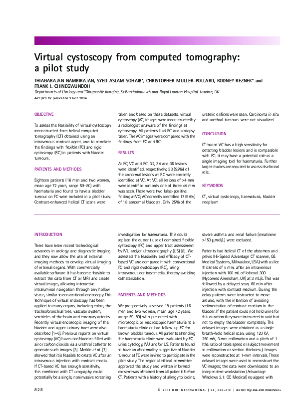 (PDF) Virtual cystoscopy from computed tomography: a pilot study