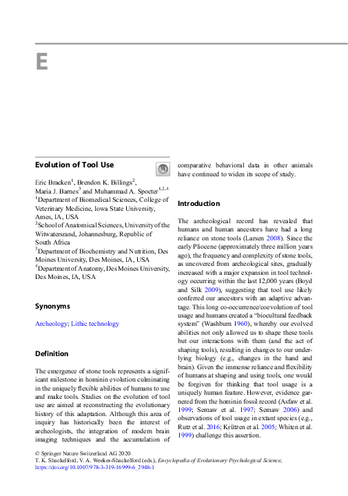 (PDF) Evolution of Tool Use