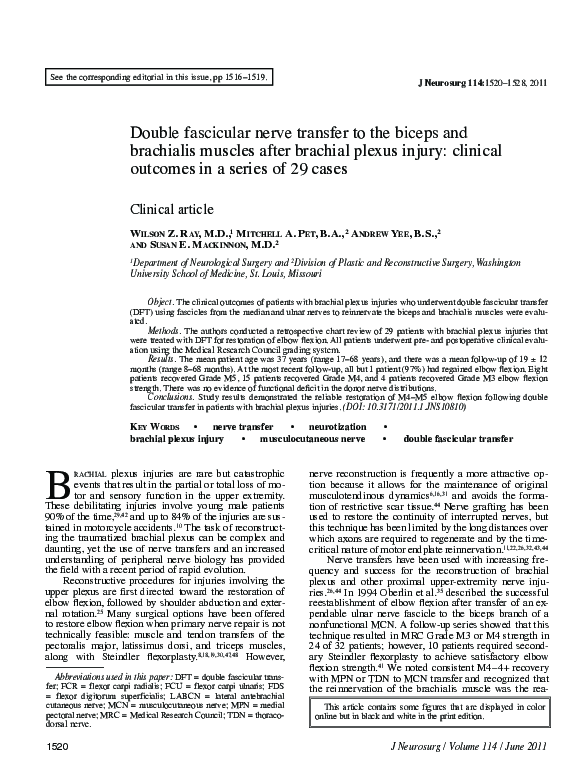 (PDF) Double fascicular nerve transfer to the biceps and brachialis ...