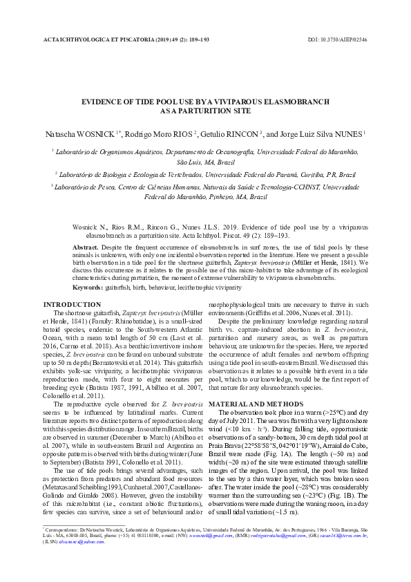 (PDF) Evidence of tide pool use by a viviparous elasmobranch as a ...