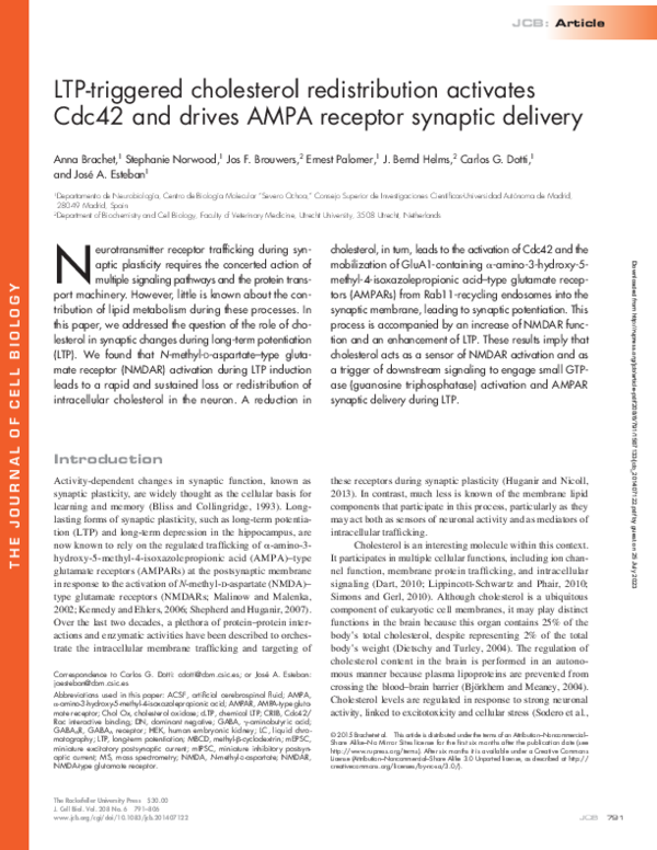 (PDF) LTP-triggered cholesterol redistribution activates Cdc42 and ...