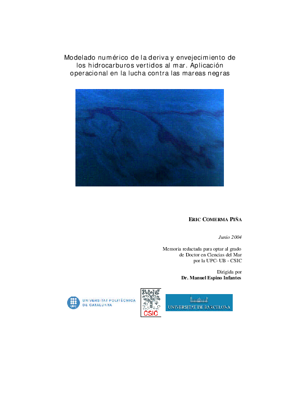 (PDF) Modelado numérico de la deriva y envejecimiento de los hidrocarburos vertidos al mar ...