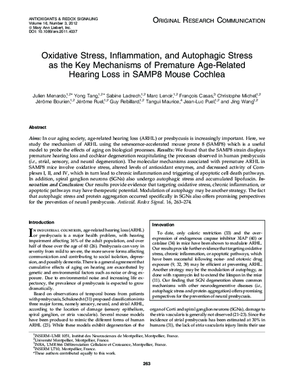 (PDF) Oxidative Stress, Inflammation, and Autophagic Stress as the Key ...