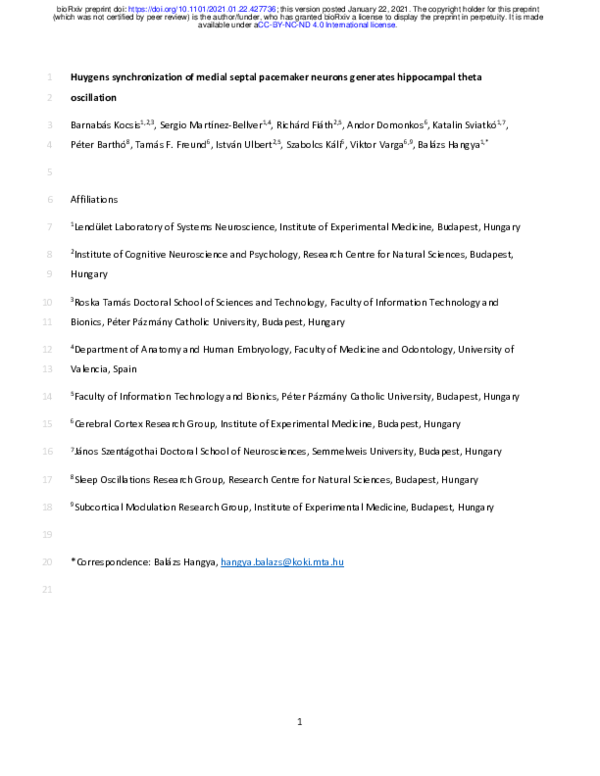 (PDF) Huygens Synchronization of Medial Septal Pacemaker Neurons ...