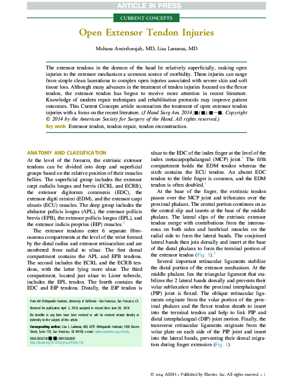 (PDF) Open Extensor Tendon Injuries