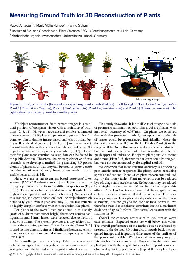 (PDF) Measuring Ground Truth for 3 D Reconstruction of Plants