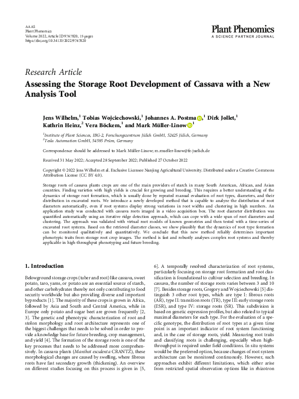(PDF) Assessing the Storage Root Development of Cassava with a New ...