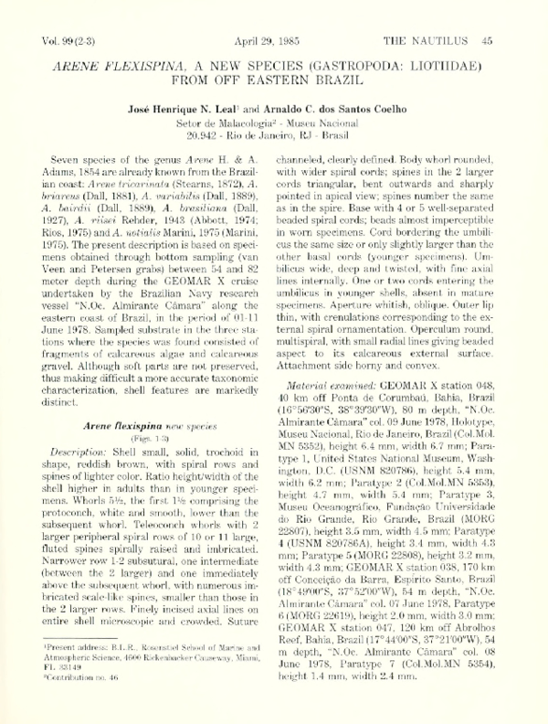 (PDF) Arene flexispina, a new species (Gastropoda: Liotiidae) from off ...