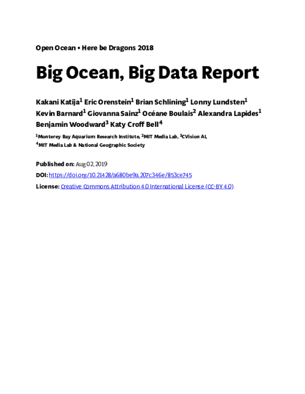 (PDF) Big Ocean, Big Data Report