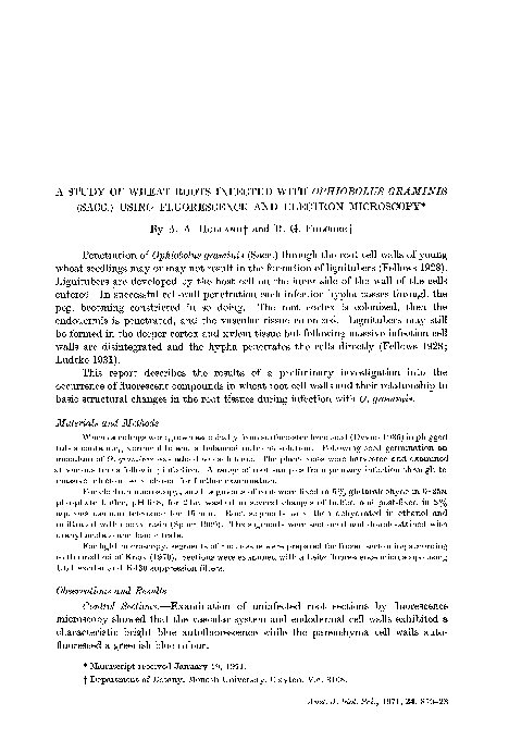 (PDF) A Study of Wheat Roots Infected with Ophiobolus Graminis (Sacc ...