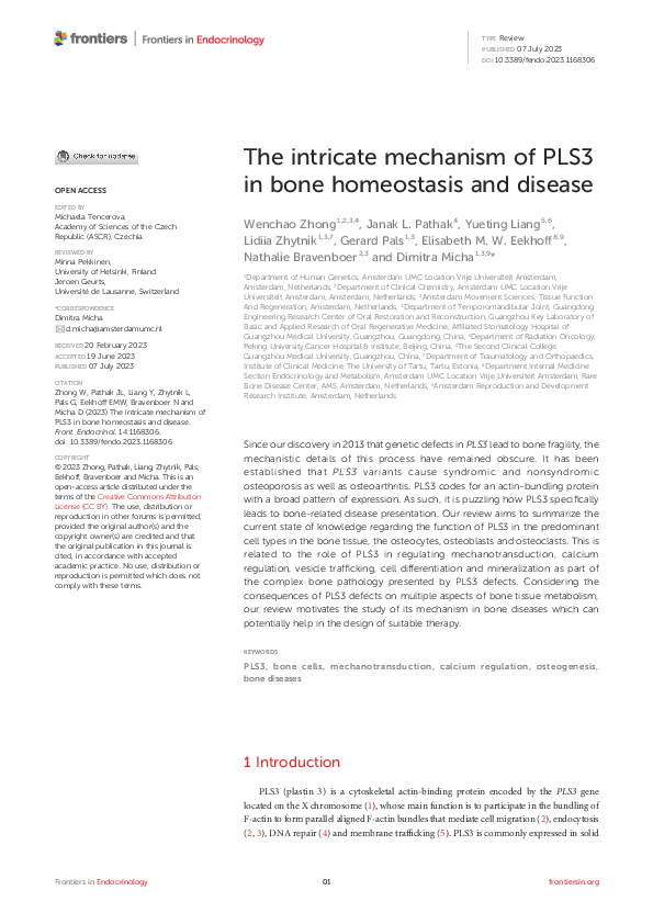 (PDF) The intricate mechanism of PLS3 in bone homeostasis and disease