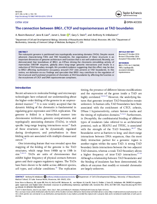 (PDF) The connection between BRG1, CTCF and topoisomerases at TAD ...