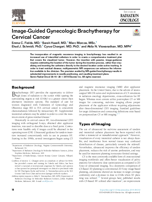 (PDF) Image-Guided Gynecologic Brachytherapy for Cervical Cancer