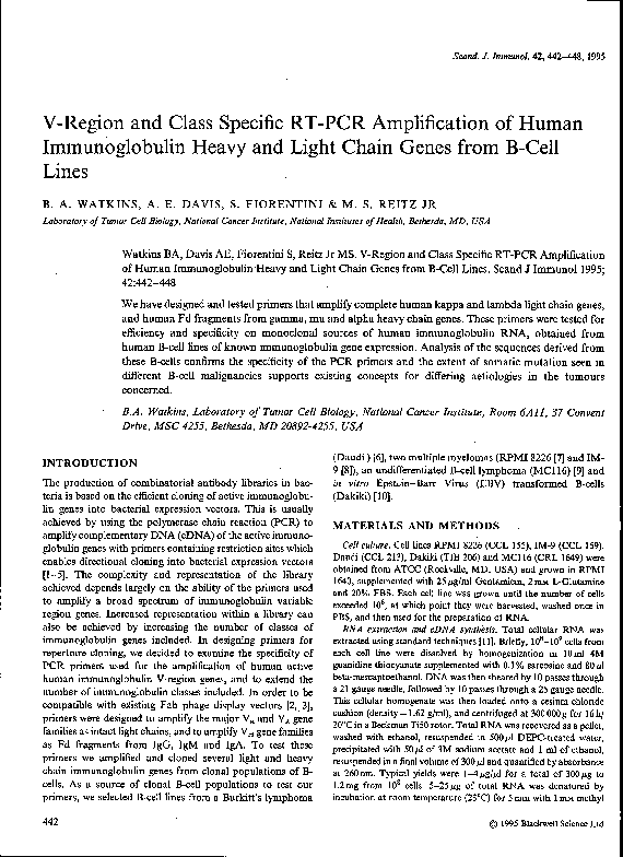 (PDF) V‐Region and Class Specific RT‐PCR Amplification of Human ...