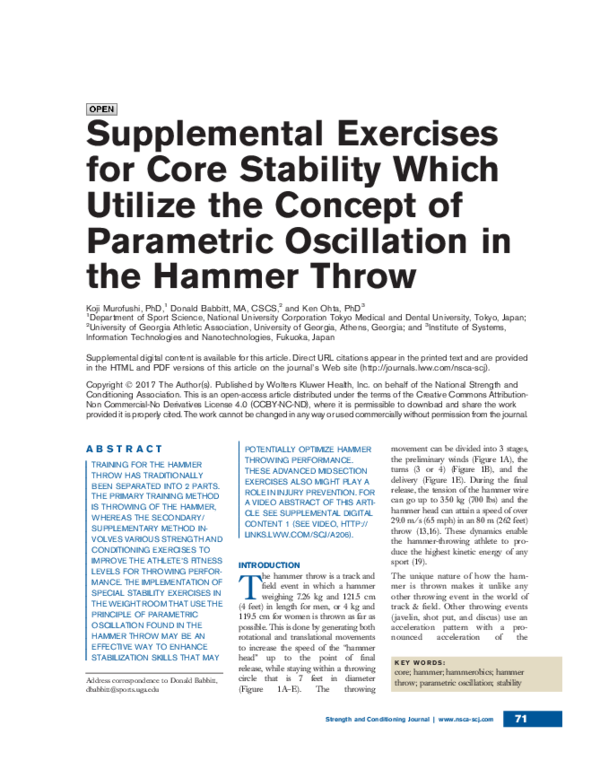 (PDF) Supplemental Exercises for Core Stability Which Utilize the ...