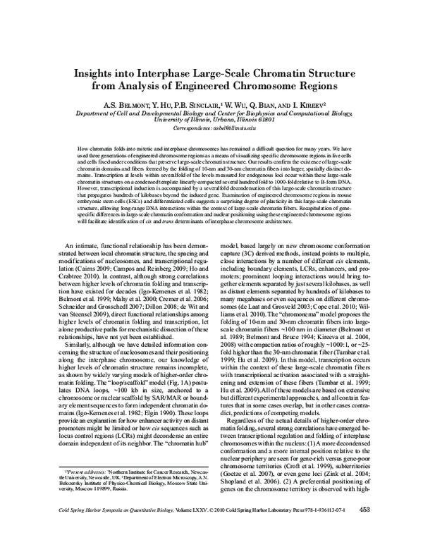 Pdf Insights Into Interphase Large Scale Chromatin Structure From
