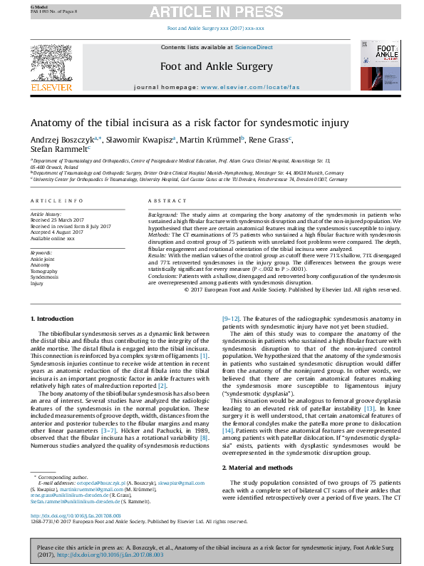 (PDF) Anatomy of the tibial incisura as a risk factor for syndesmotic ...