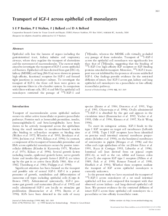 (PDF) Transport of IGF-I across epithelial cell monolayers