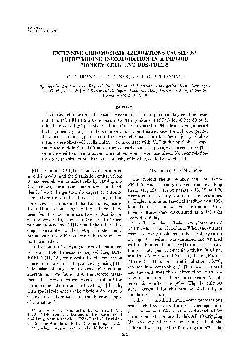 (PDF) Extensive chromosome aberrations caused by [3H]thymidine ...