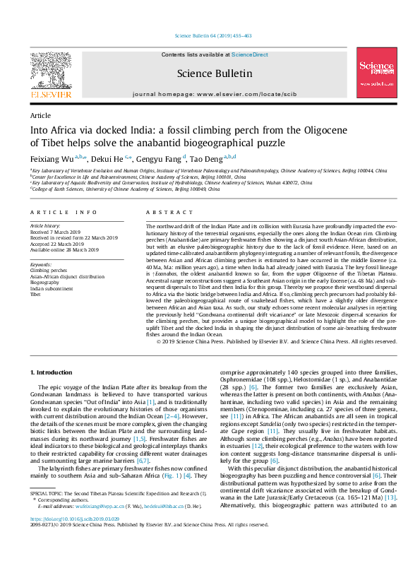 (PDF) Into Africa via docked India: a fossil climbing perch from the ...