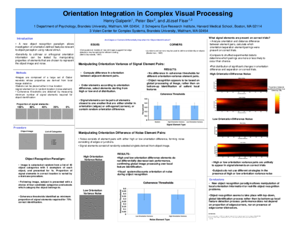 (PDF) Orientation integration in complex visual processing